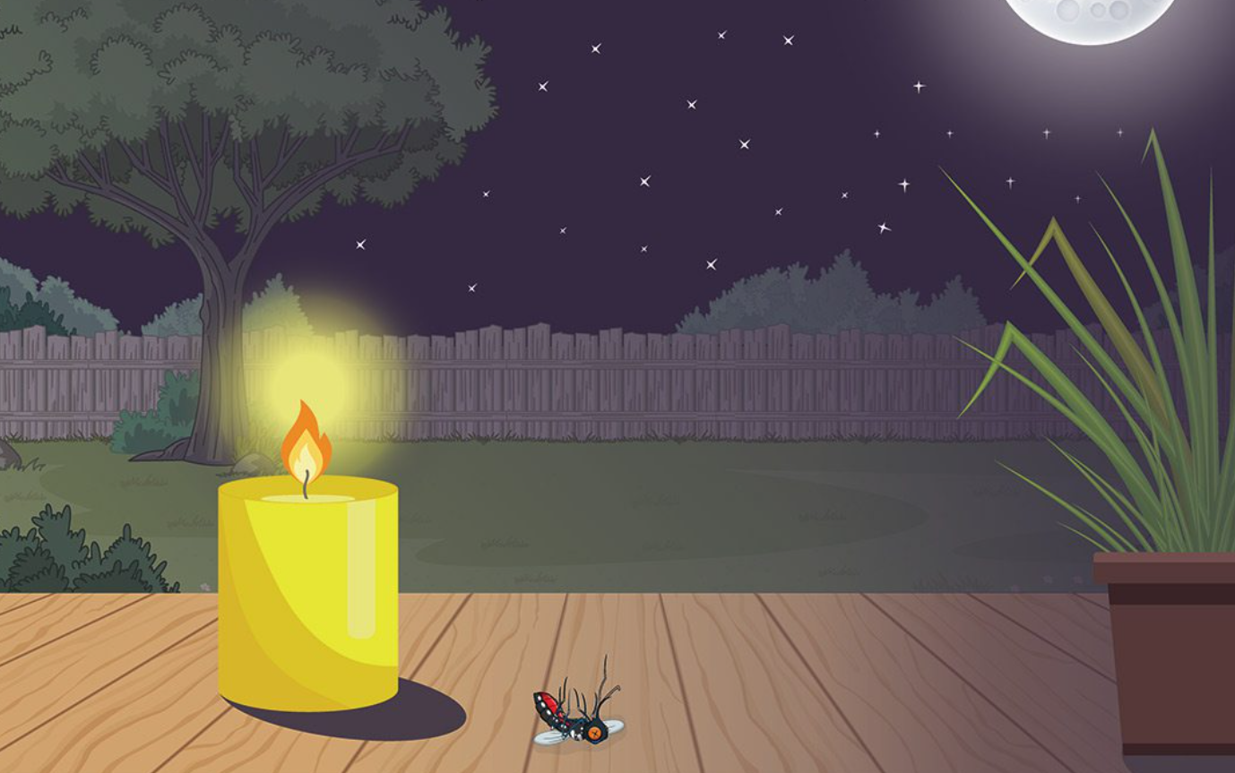 How To Get Rid Of Mosquitoes At Night